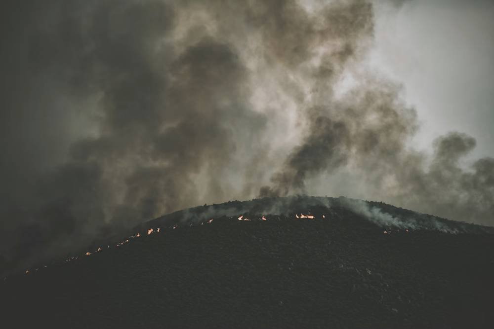 What You Need to Know About Fire-Resistant Materials for Wildfire-Prone ...